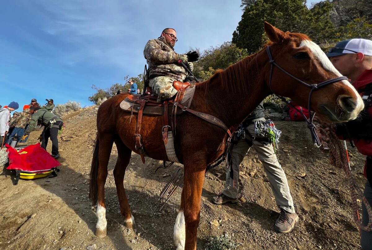 The Major, flag meant to honor veterans, is flying again in Coldwater ...
